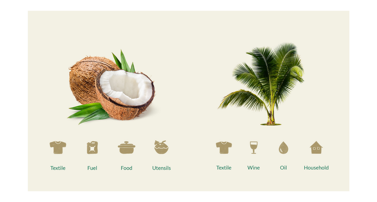 Olu Olu's journey and why we do what we do – Olu Olu Foods